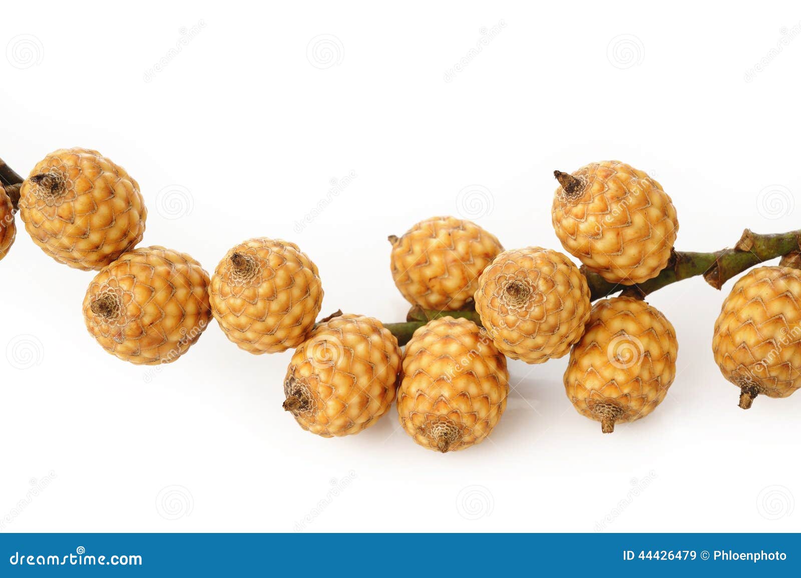 Ripe Rattan Fruit on White Background Stock Image - Image of sour ...