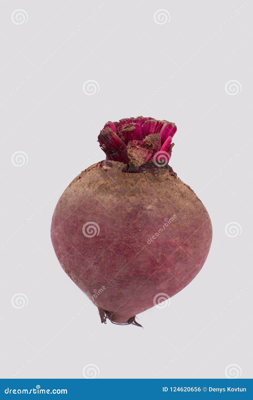 Ripe Raw Beetroot Isolated on White. Stock Photo - Image of ripe, food ...