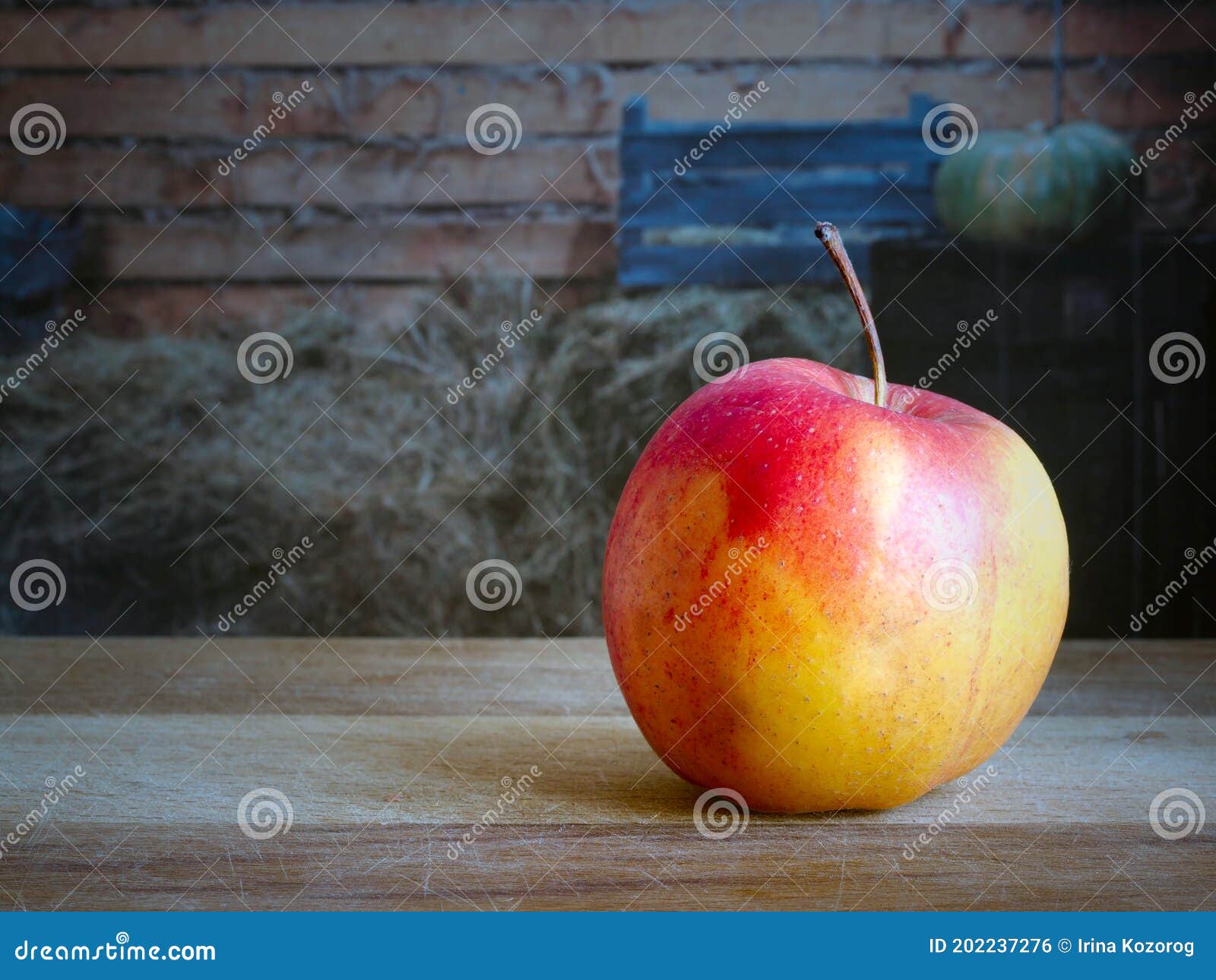 Ripe red apple stock photo. Image of friendly, vitamin - 202237276