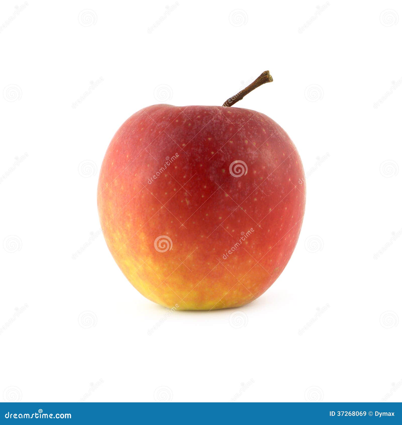 Ripe Red Apple Isolated Closeup Stock Image - Image of apple, single ...
