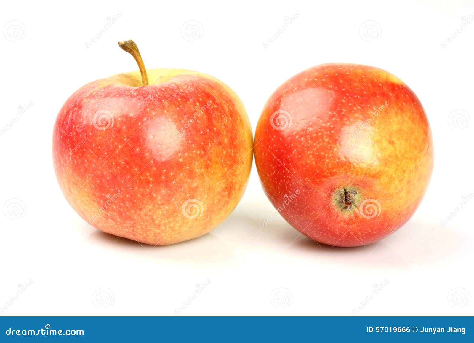 Ripe red apple stock photo. Image of nature, vegetarian - 57019666