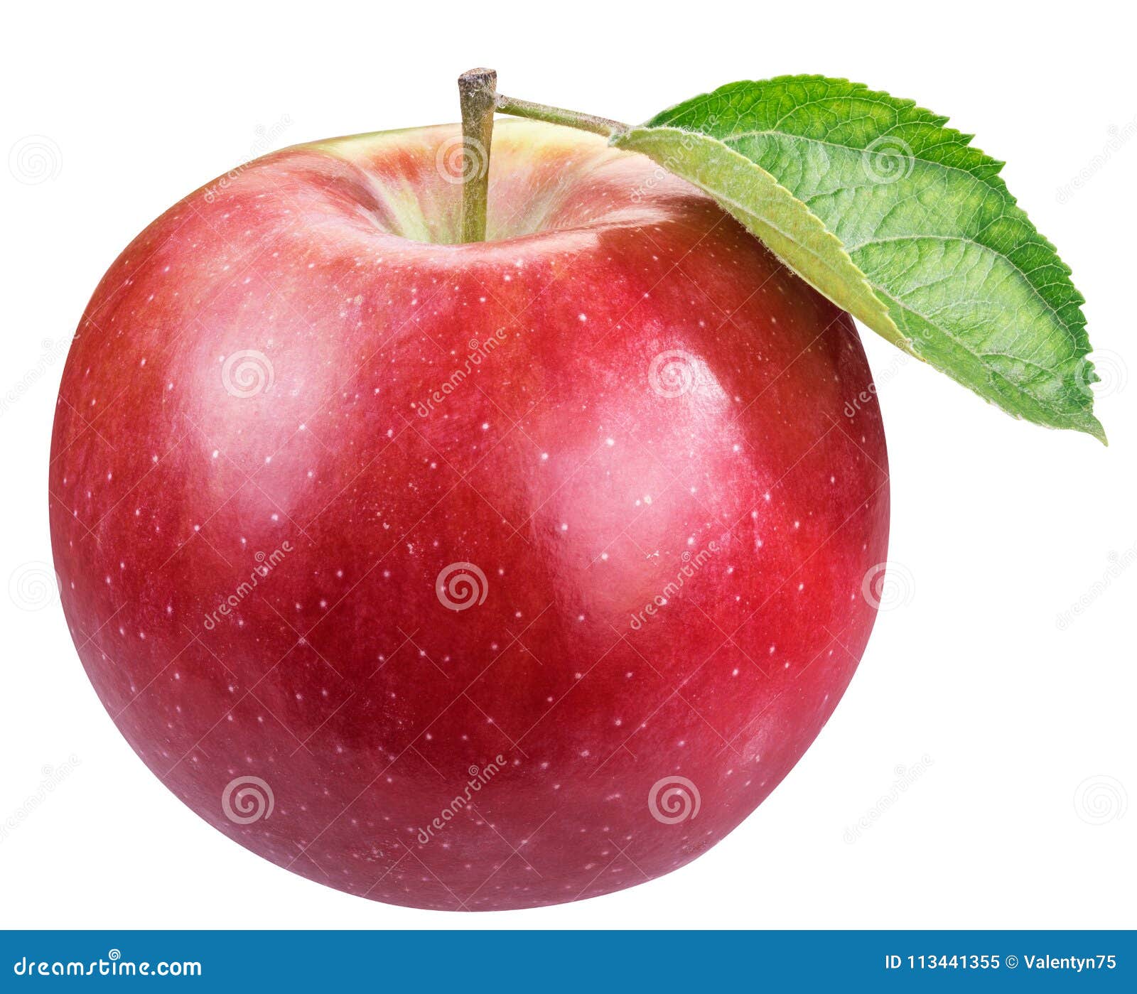 Ripe red apple with leaf. stock image. Image of sappy - 113441355