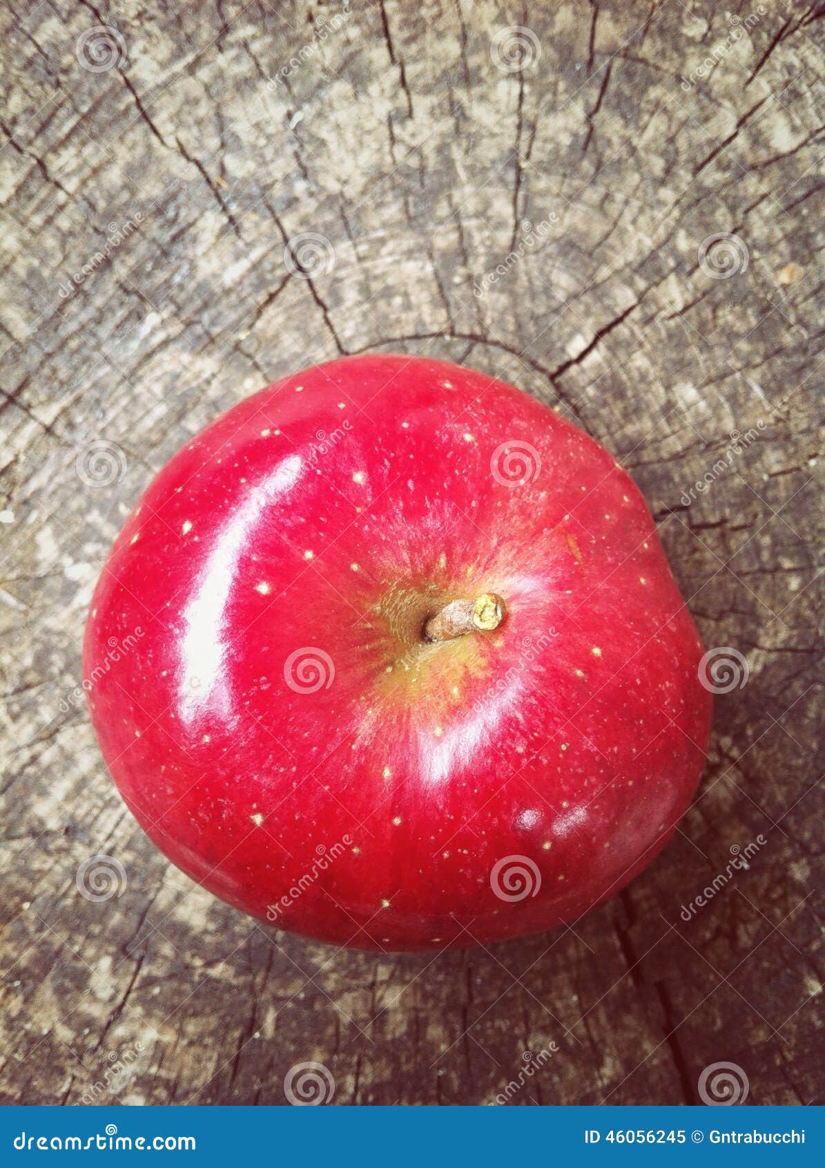 Ripe red apple stock image. Image of wood, sessons, surface - 46056245