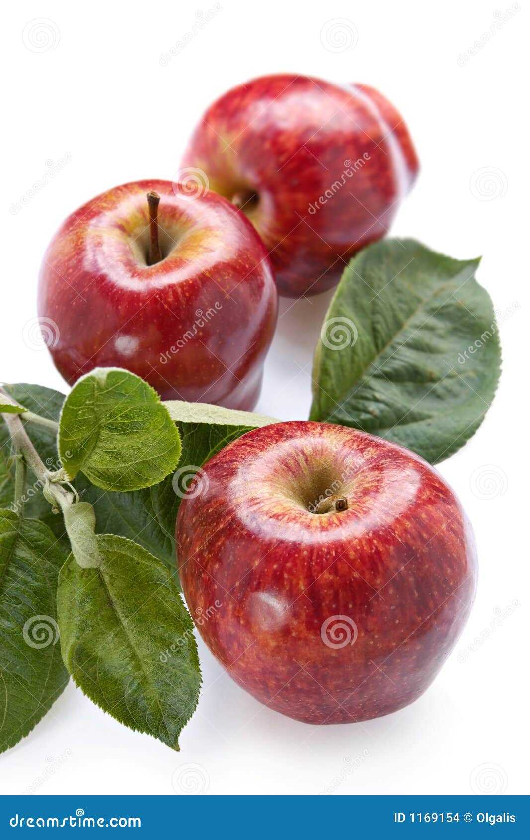 Ripe red apples stock photo. Image of fruit, crop, lifestyle - 1169154