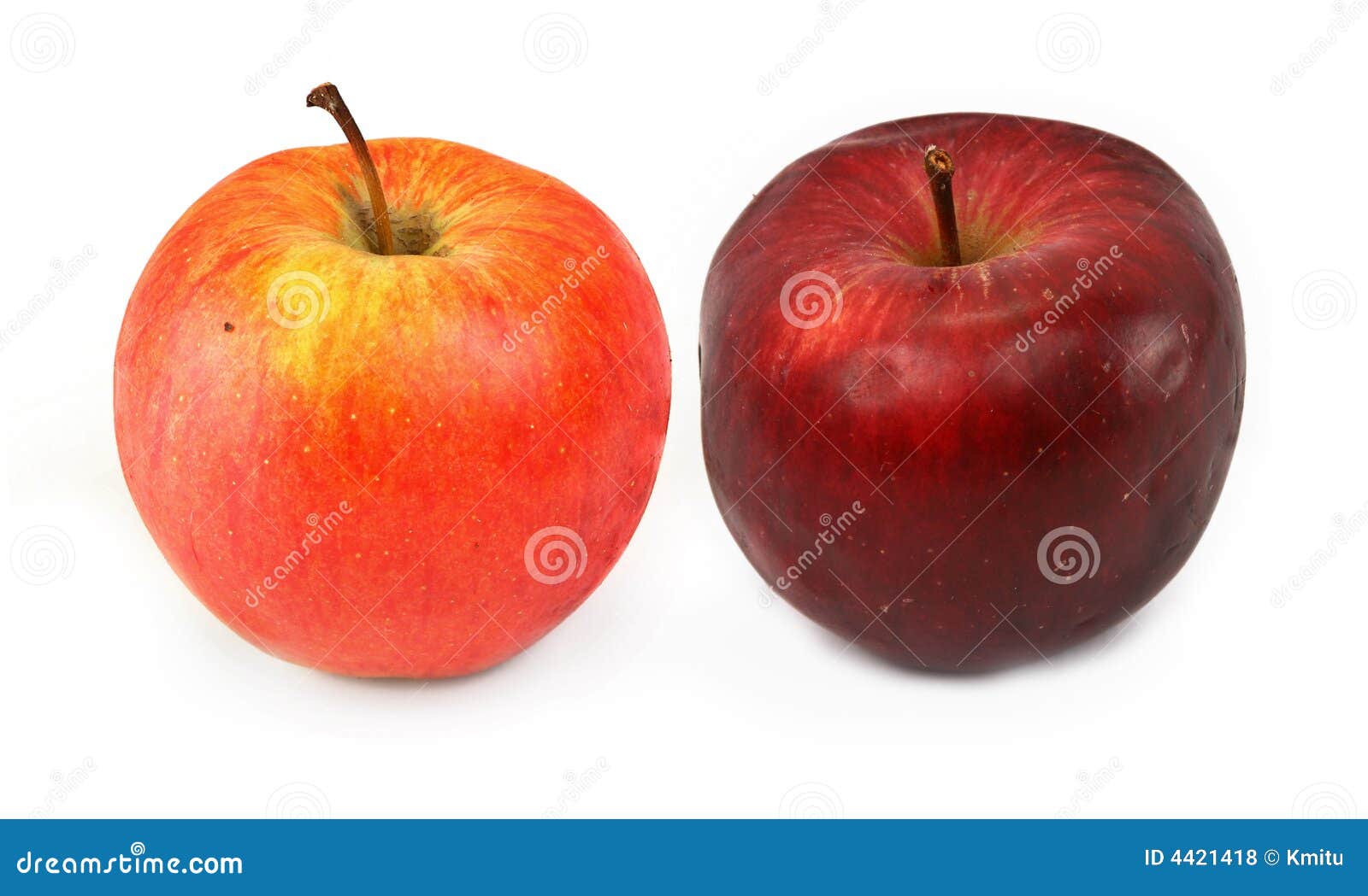 Ripe red apples stock photo. Image of shades, nutritious - 4421418