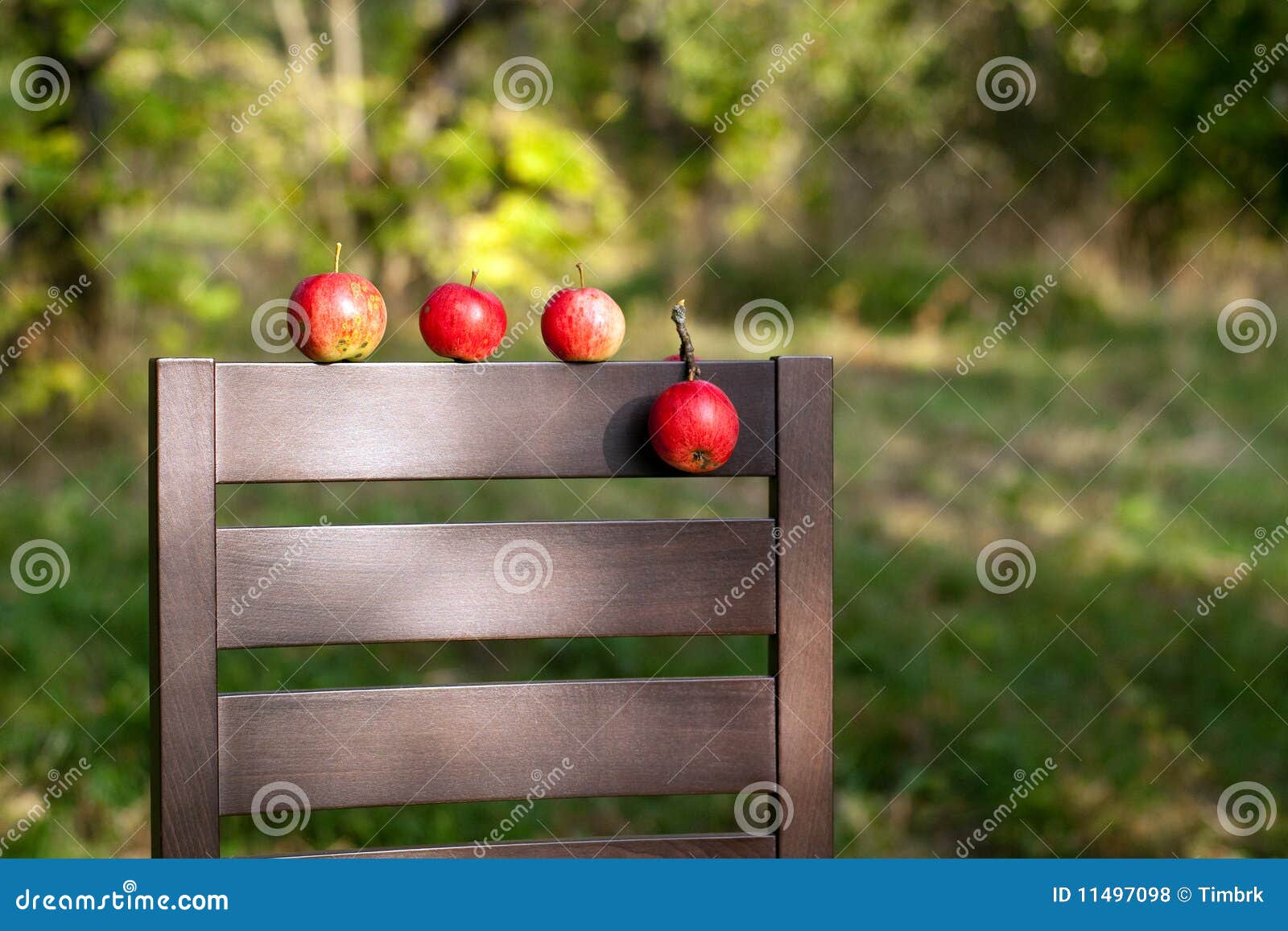 Ripe Red Apples on the Back of Chair Stock Photo - Image of green ...