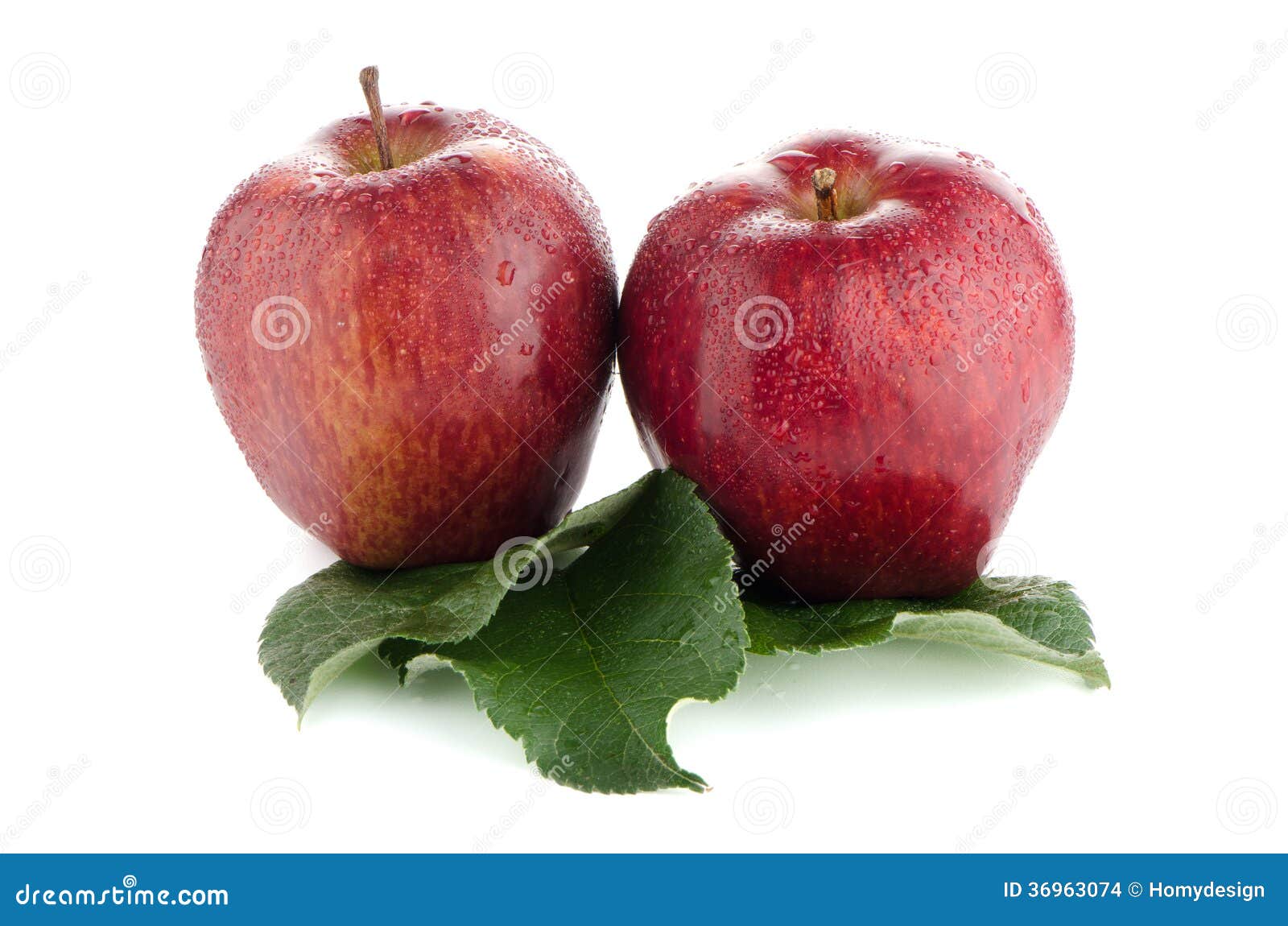Ripe red apples stock photo. Image of farm, apple, fruit - 36963074