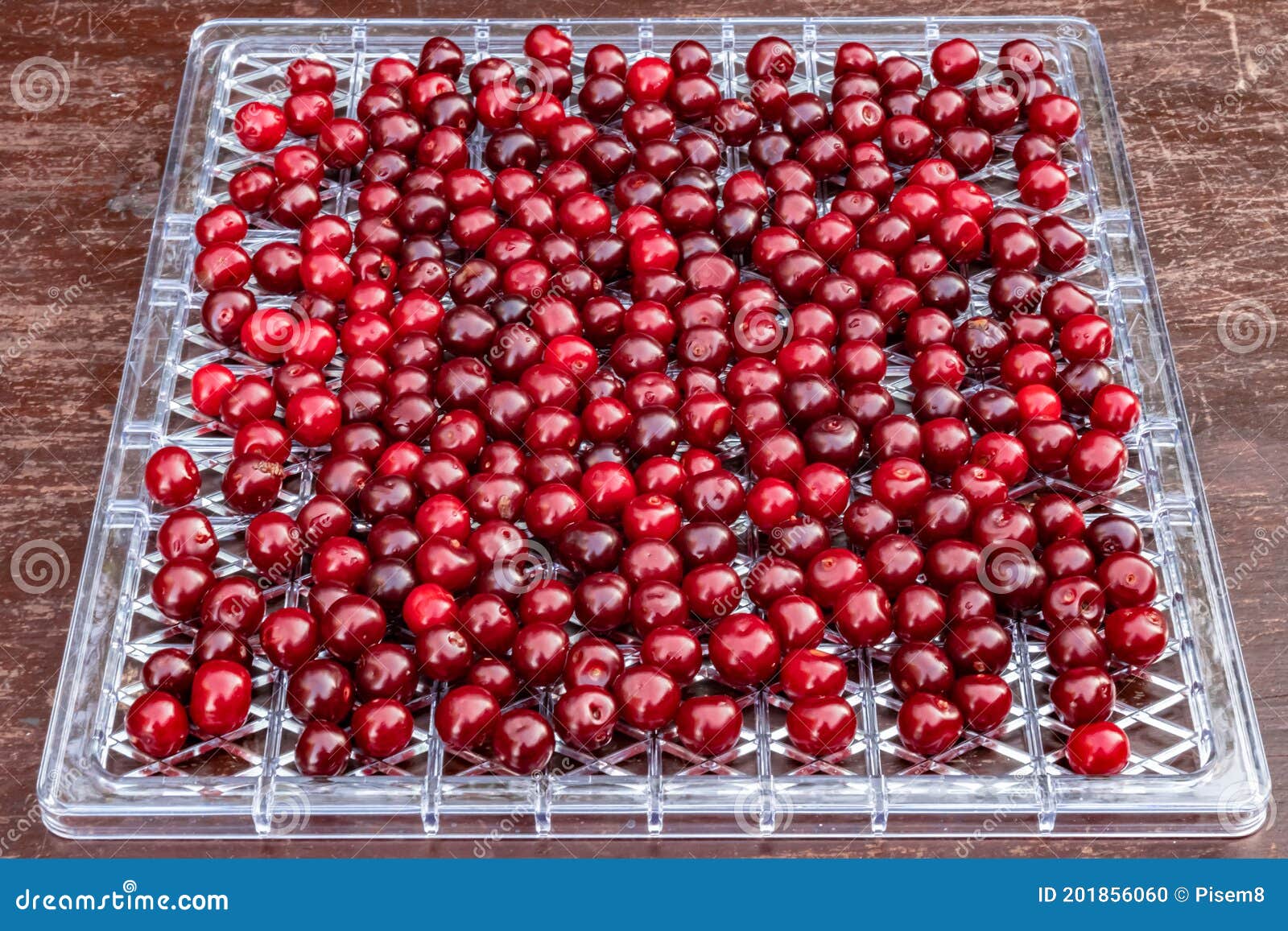Ripe Red Cherries on a Drying and Dehydration Tray Stock Photo - Image ...