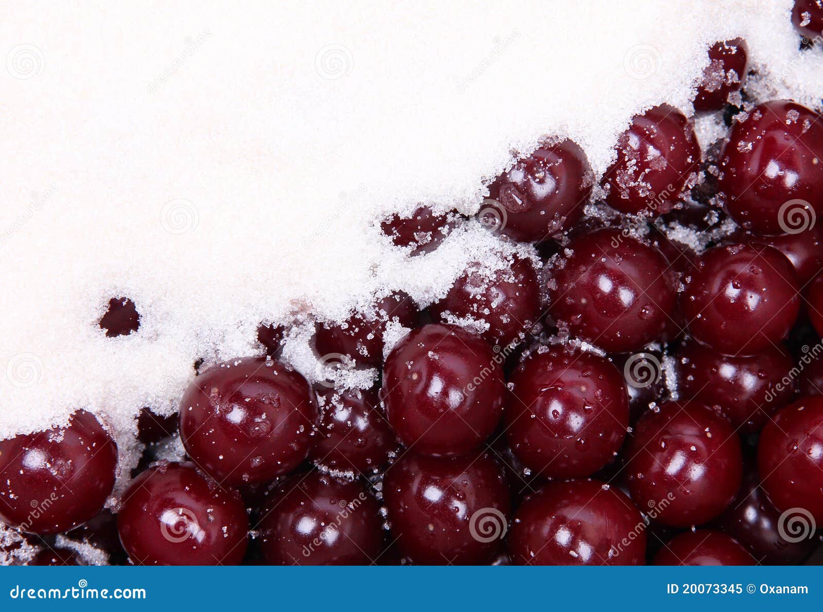 Ripe Red Cherries and White Sugar Stock Image - Image of bright, drop ...
