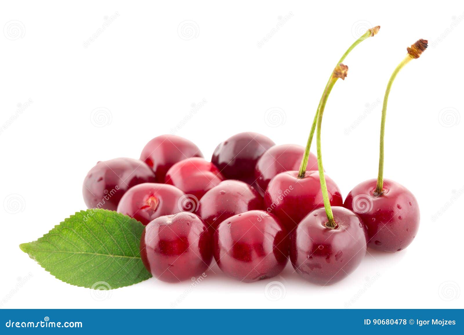 Ripe red cherry isolated stock photo. Image of macro - 90680478