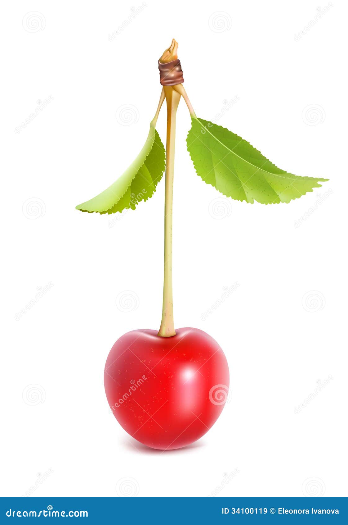 Ripe Red Cherry with Leaves Stock Vector - Illustration of juice ...