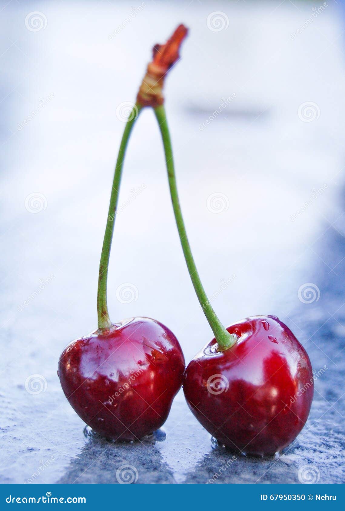 Ripe red cherry stock photo. Image of ingredient, macro - 67950350