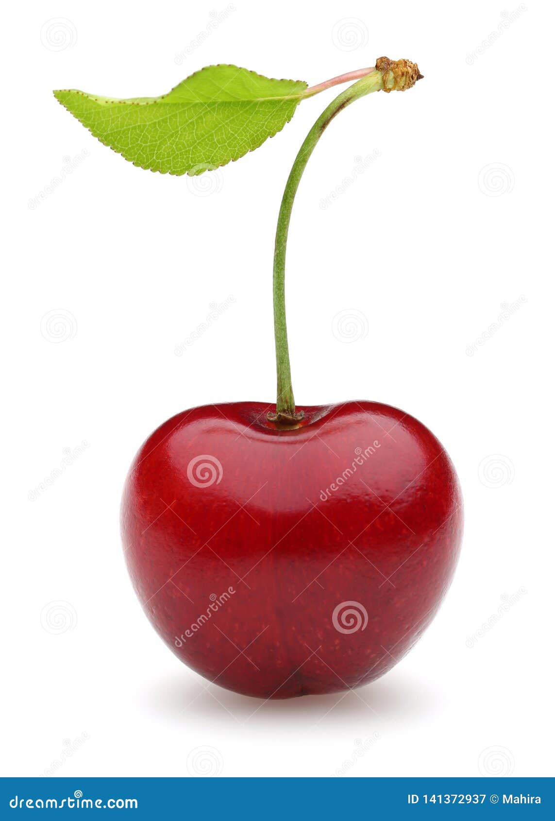 Ripe Red Cherry with Stalk and Leaf Isolated Stock Image - Image of ...