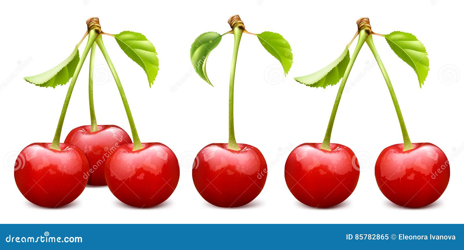 Ripe Red Cherry Vector Illustration Stock Vector - Illustration of ...