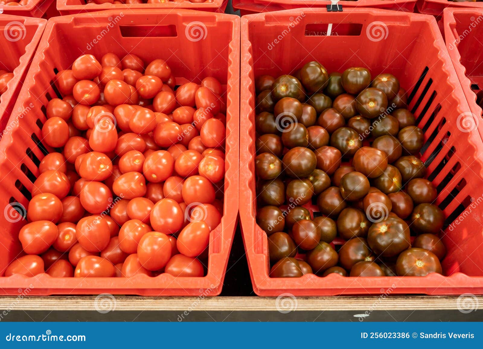 Ripe Red and Dark Tomatoes in Two Large Boxes Stock Photo - Image of ...