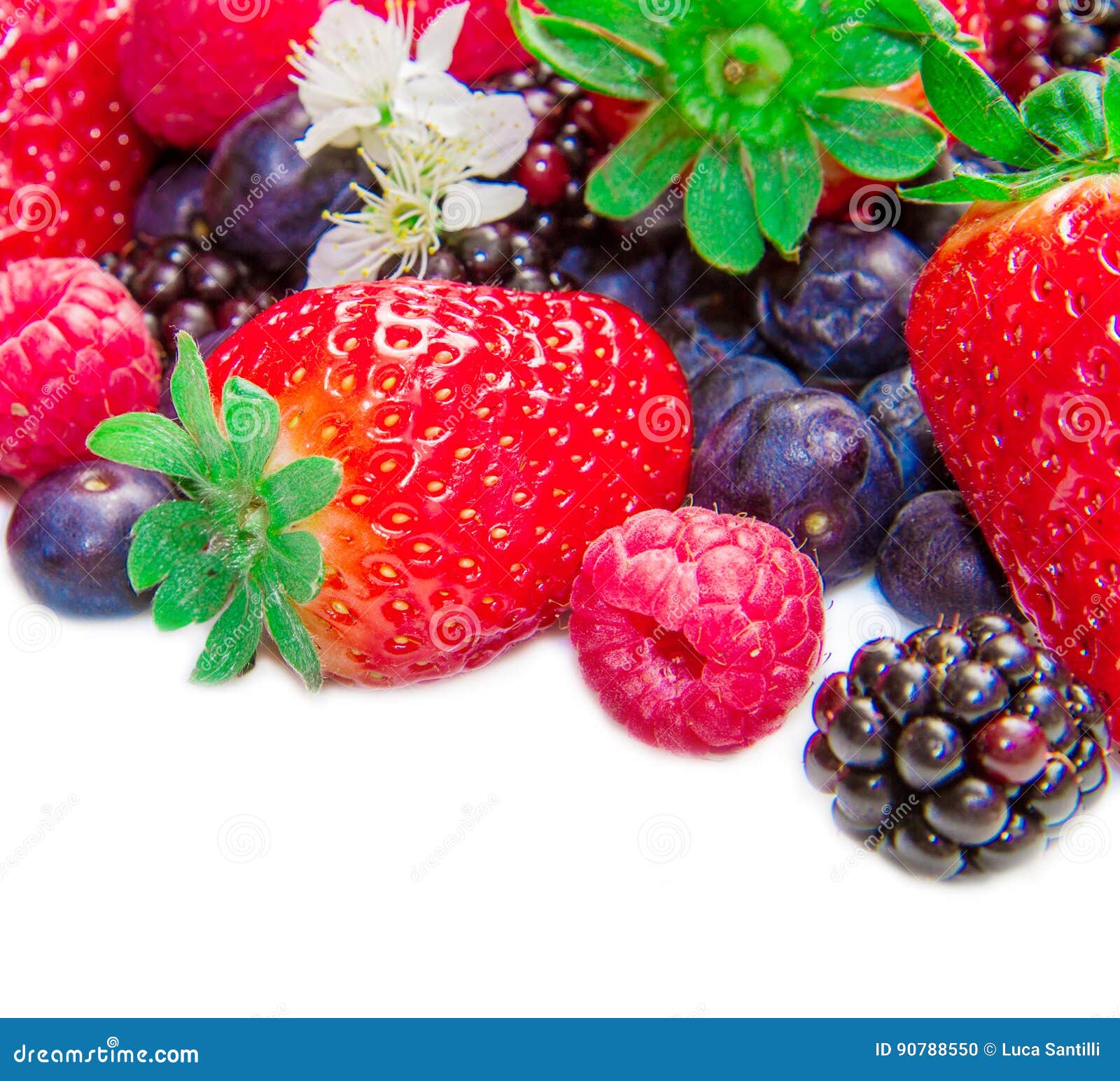 Ripe Red Fruits on White Table Stock Photo - Image of fresh, isolated ...