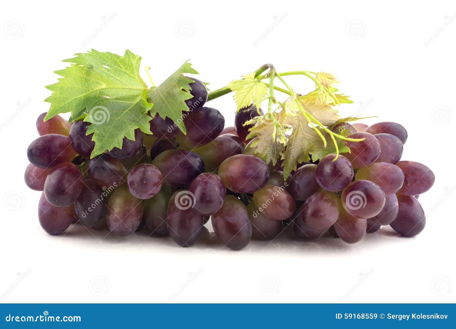 Ripe red grape stock image. Image of plant, bunch, fresh - 59168559