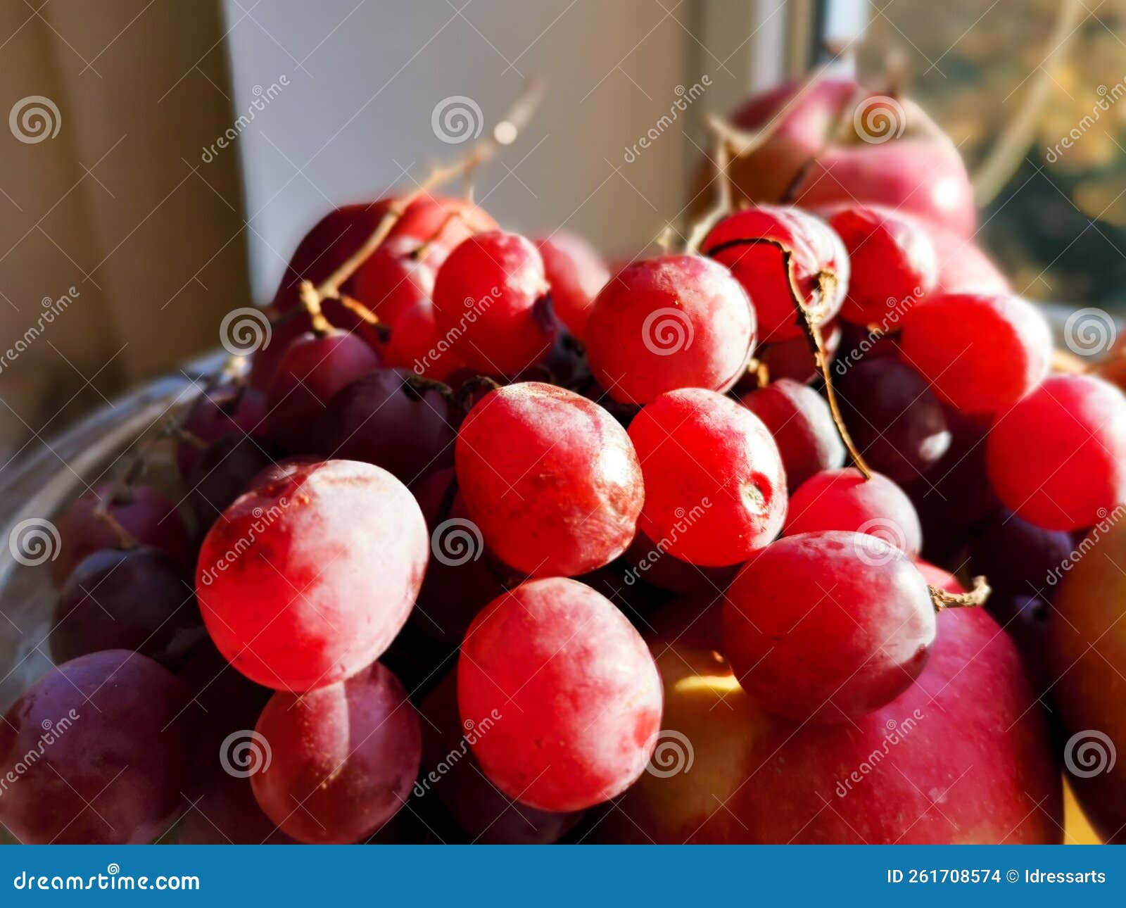 Ripe red grape stock photo. Image of pink, tendril, nature - 261708574