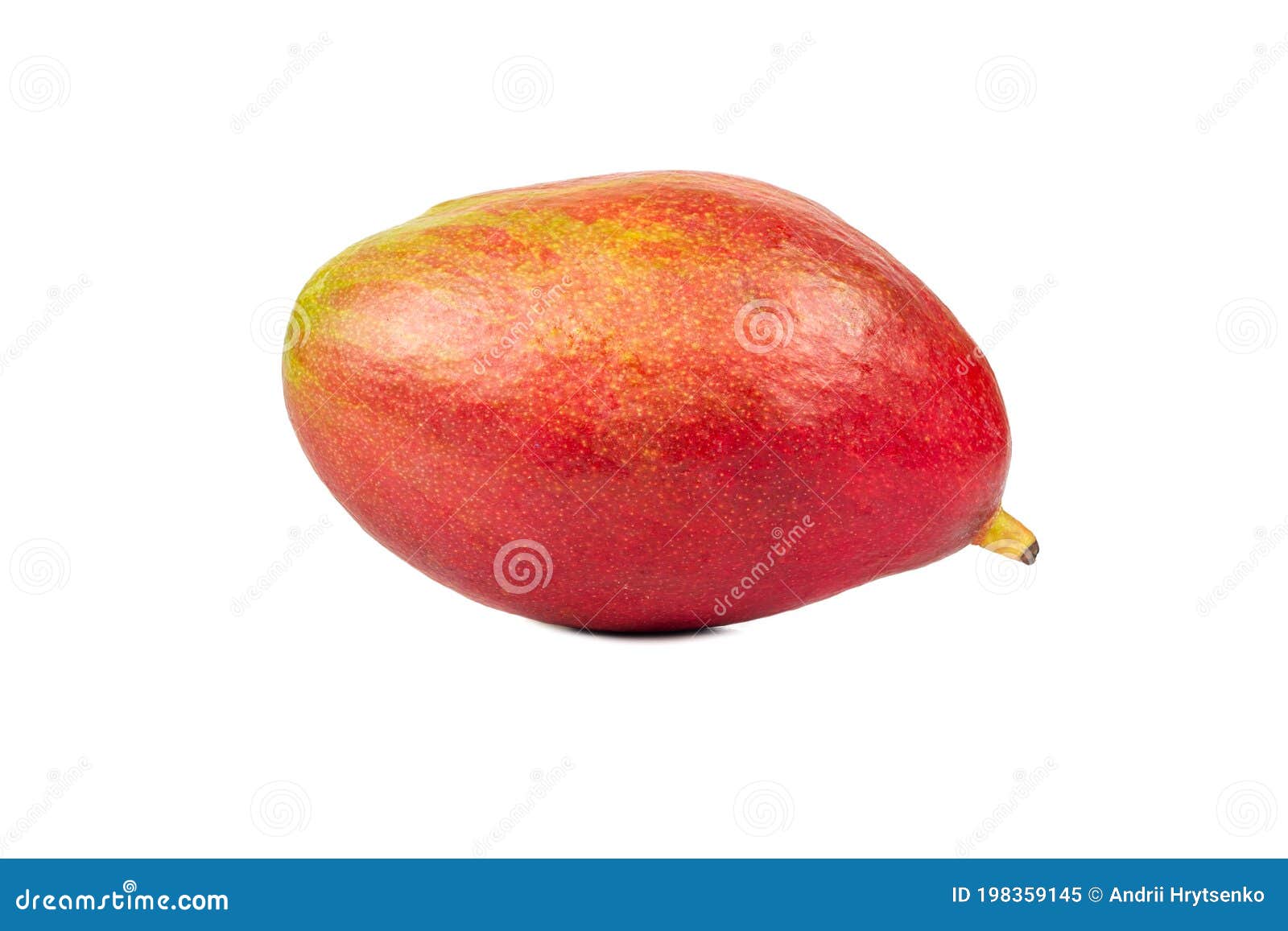 Red mango fruit stock image. Image of gourmet, healthy - 198359145