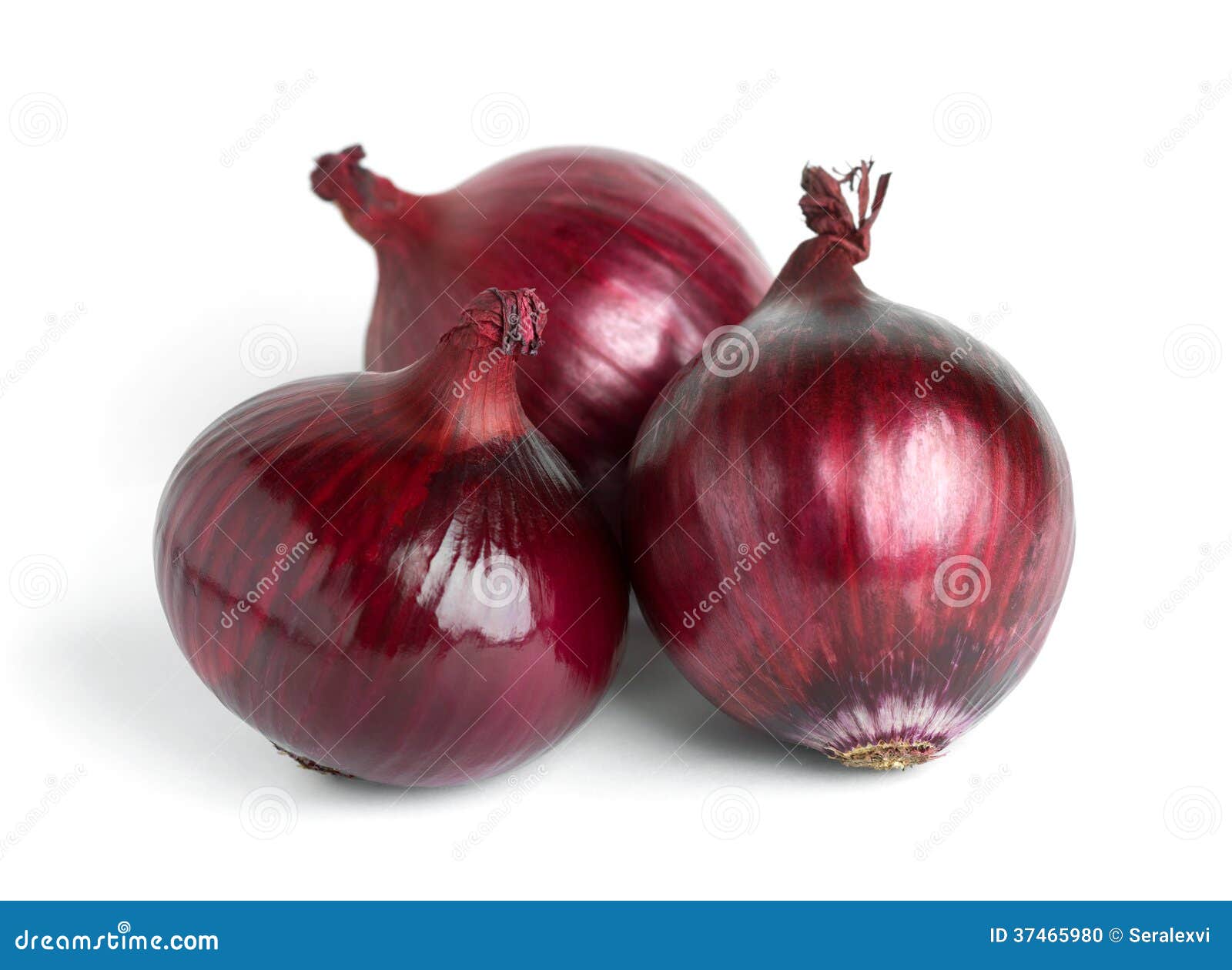 Ripe red onion bulbs stock photo. Image of healthy, onion - 37465980