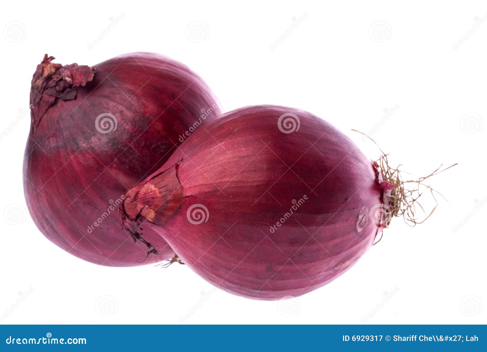 Ripe red onions stock image. Image of vegetables, skin - 6929317