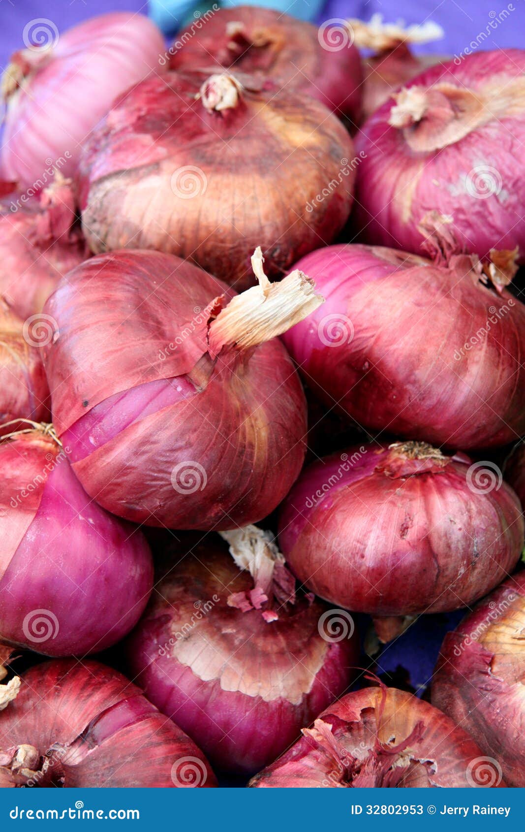 Ripe red onions stock image. Image of spicy, skin, closeup - 32802953