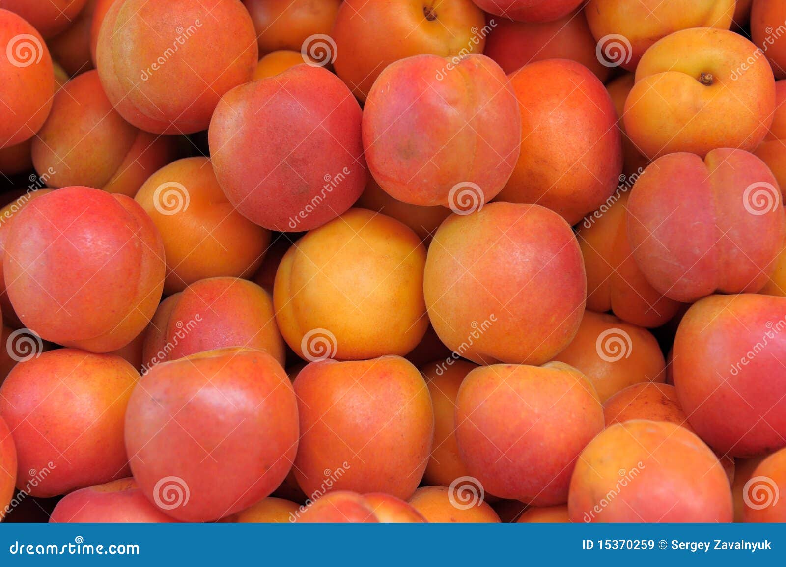 Ripe Red and Orange Apricots Stock Image - Image of orange, ripe: 15370259