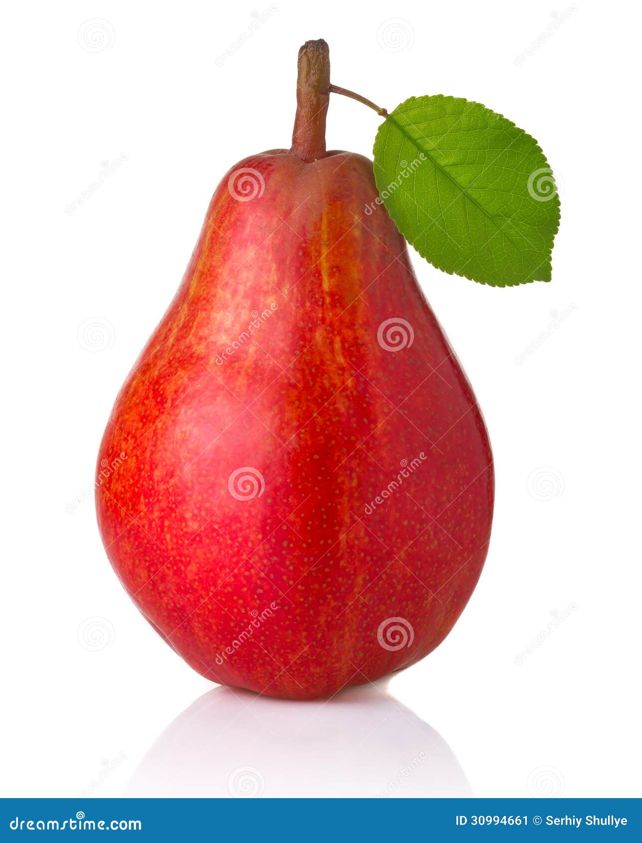 Ripe Red Pear Fruit with Green Leaves Stock Image - Image of ripe ...