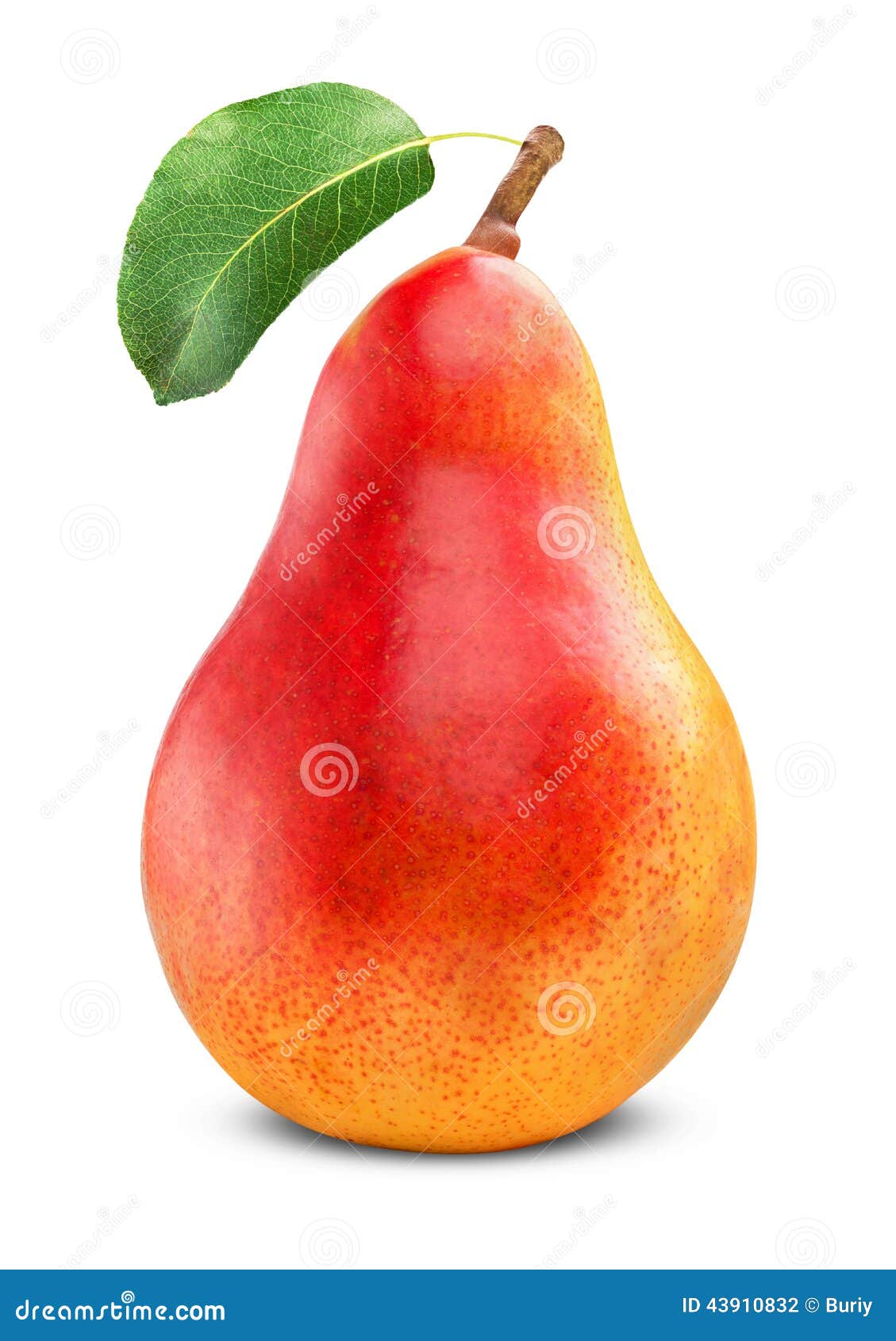 Ripe red pear stock photo. Image of sweet, gourmet, isolated - 43910832