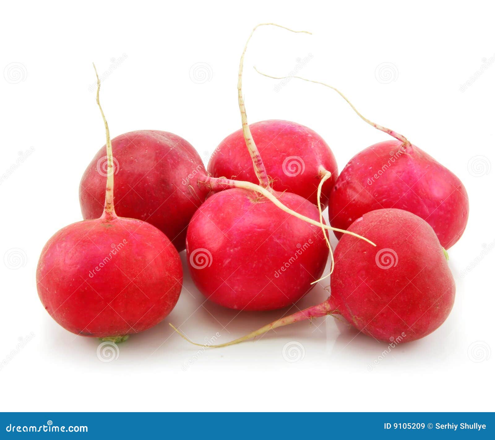 Ripe Red Radishes Isolated on White Stock Image - Image of crisp, macro ...