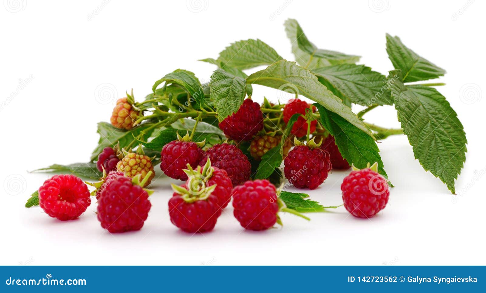 Ripe Red Raspberries Isolated Stock Photo - Image of food, heap: 142723562