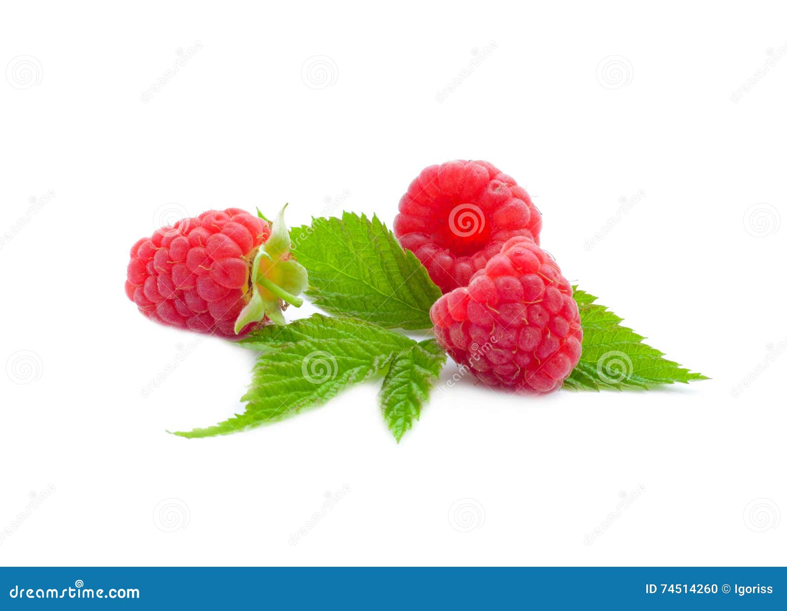 Ripe Red Raspberries on White Background Stock Photo - Image of bunch ...