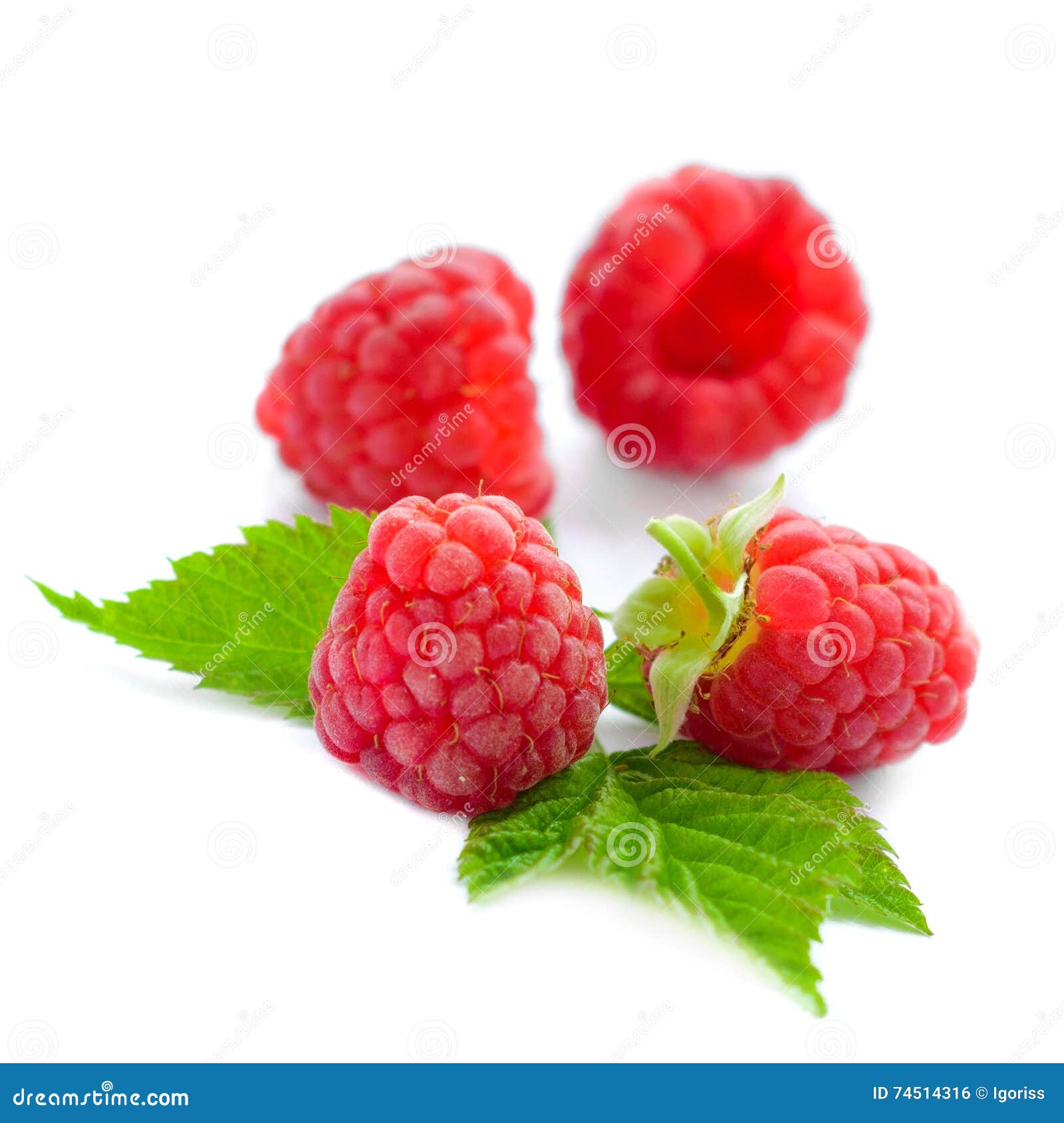 Ripe Red Raspberries on White Background Stock Photo - Image of macro ...