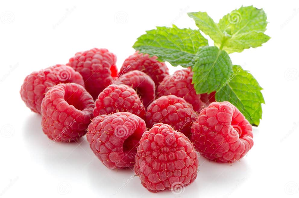 Ripe red raspberry stock photo. Image of forest, fruity - 26472268