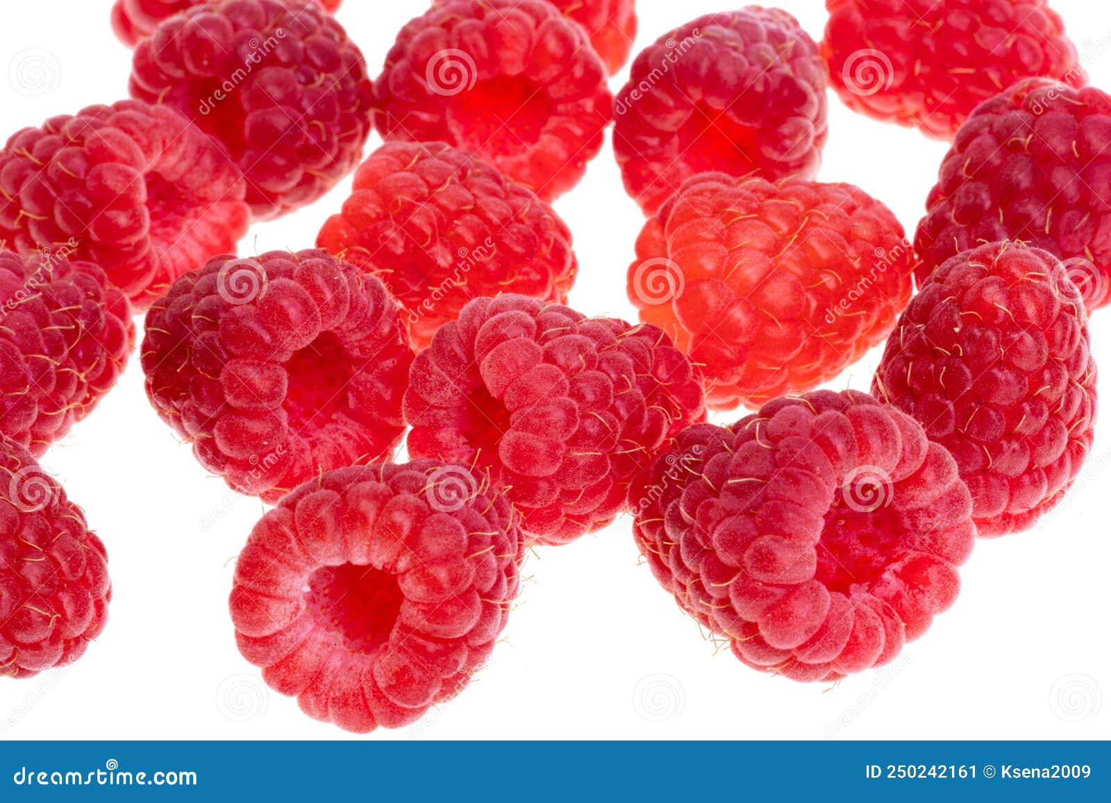 Ripe Red Raspberry Isolated Stock Image - Image of sweet, organic ...