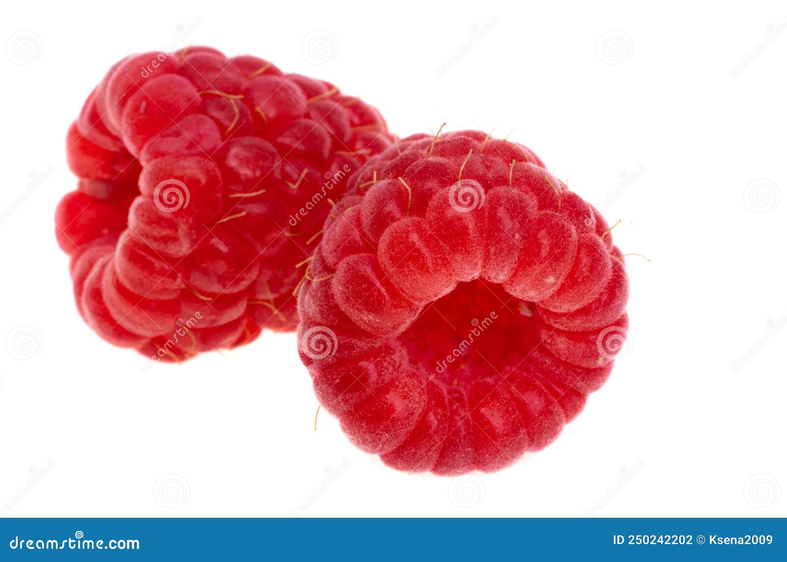 Ripe Red Raspberry Isolated Stock Photo - Image of closeup, dessert ...