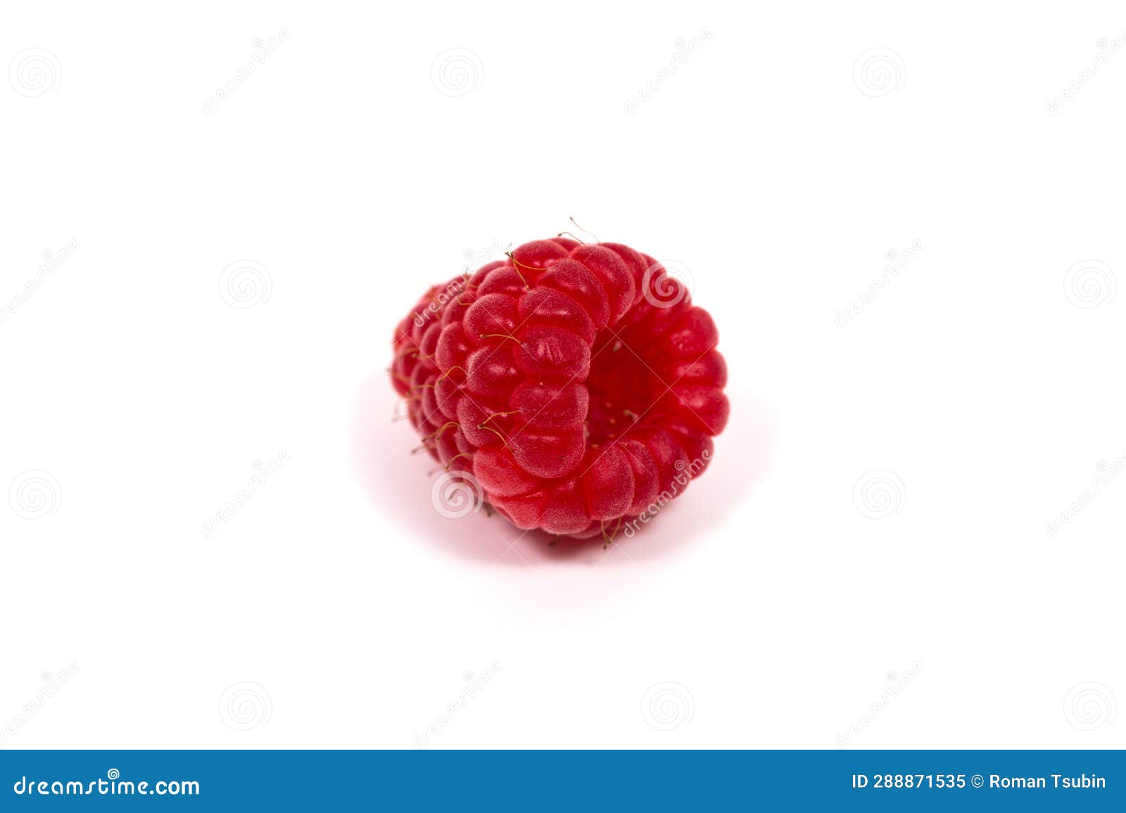 Ripe red raspberry stock image. Image of background - 288871535