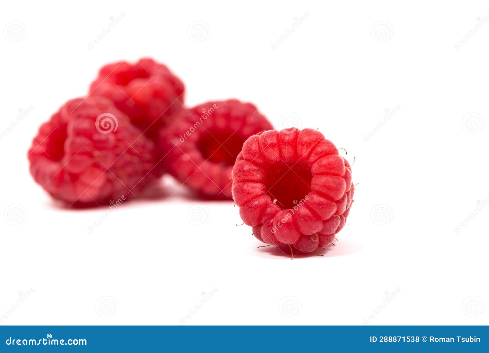 Ripe red raspberry stock photo. Image of juicy, sweet - 288871538