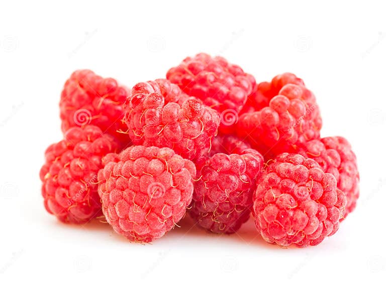 Ripe red raspberry stock photo. Image of dieting, tasty - 39063600