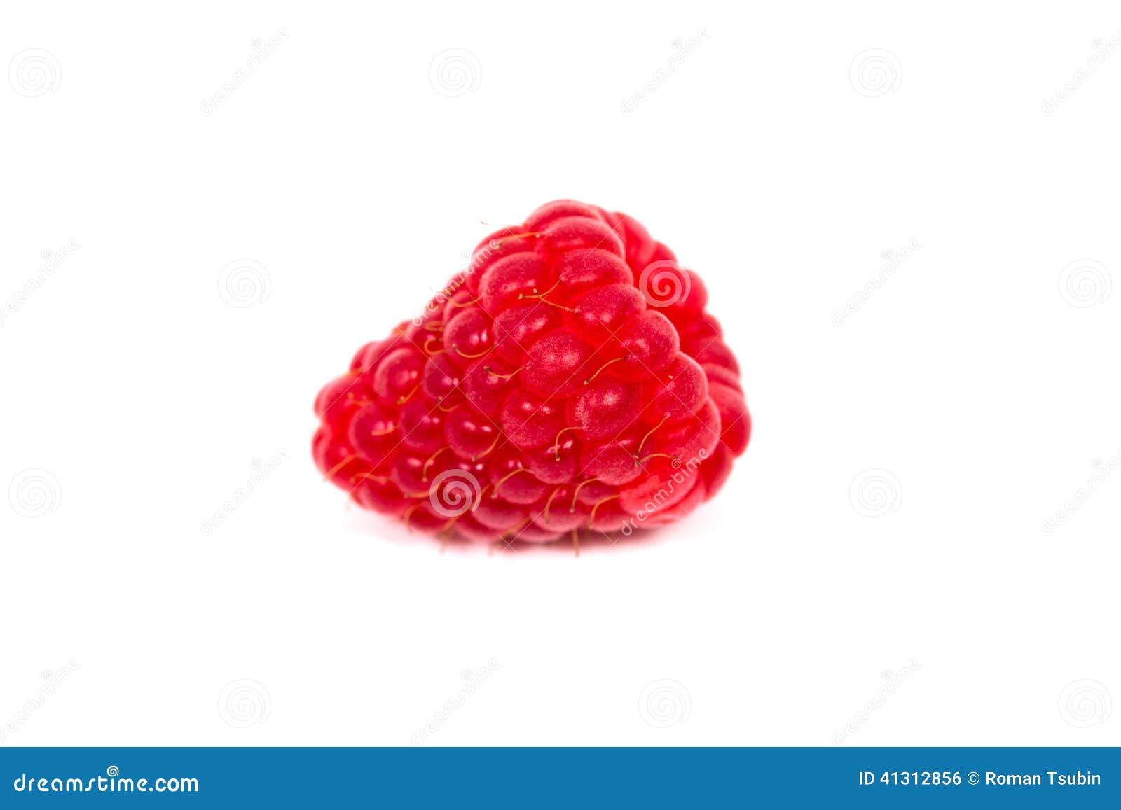 Ripe red raspberry stock photo. Image of white, ripe - 41312856