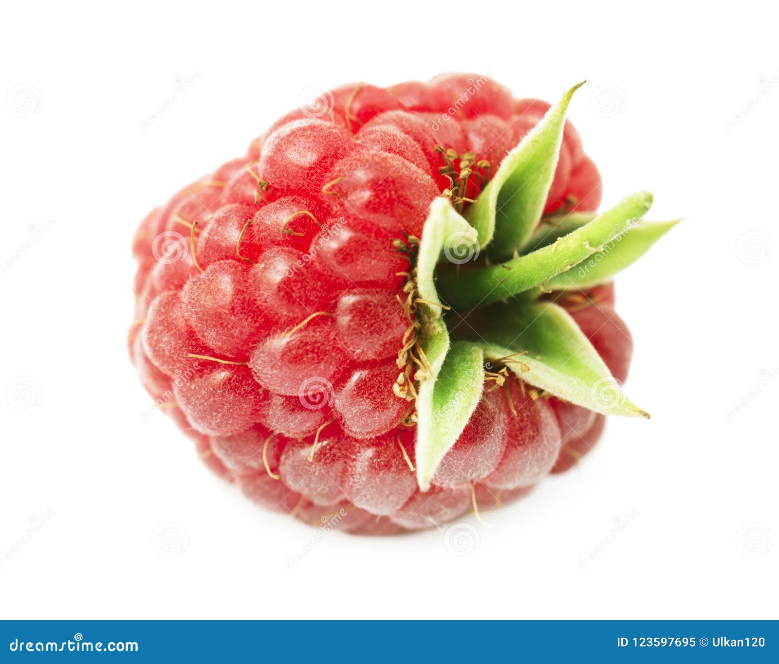 Ripe Red Raspberry Isolated On White Background Stock Image Image Of