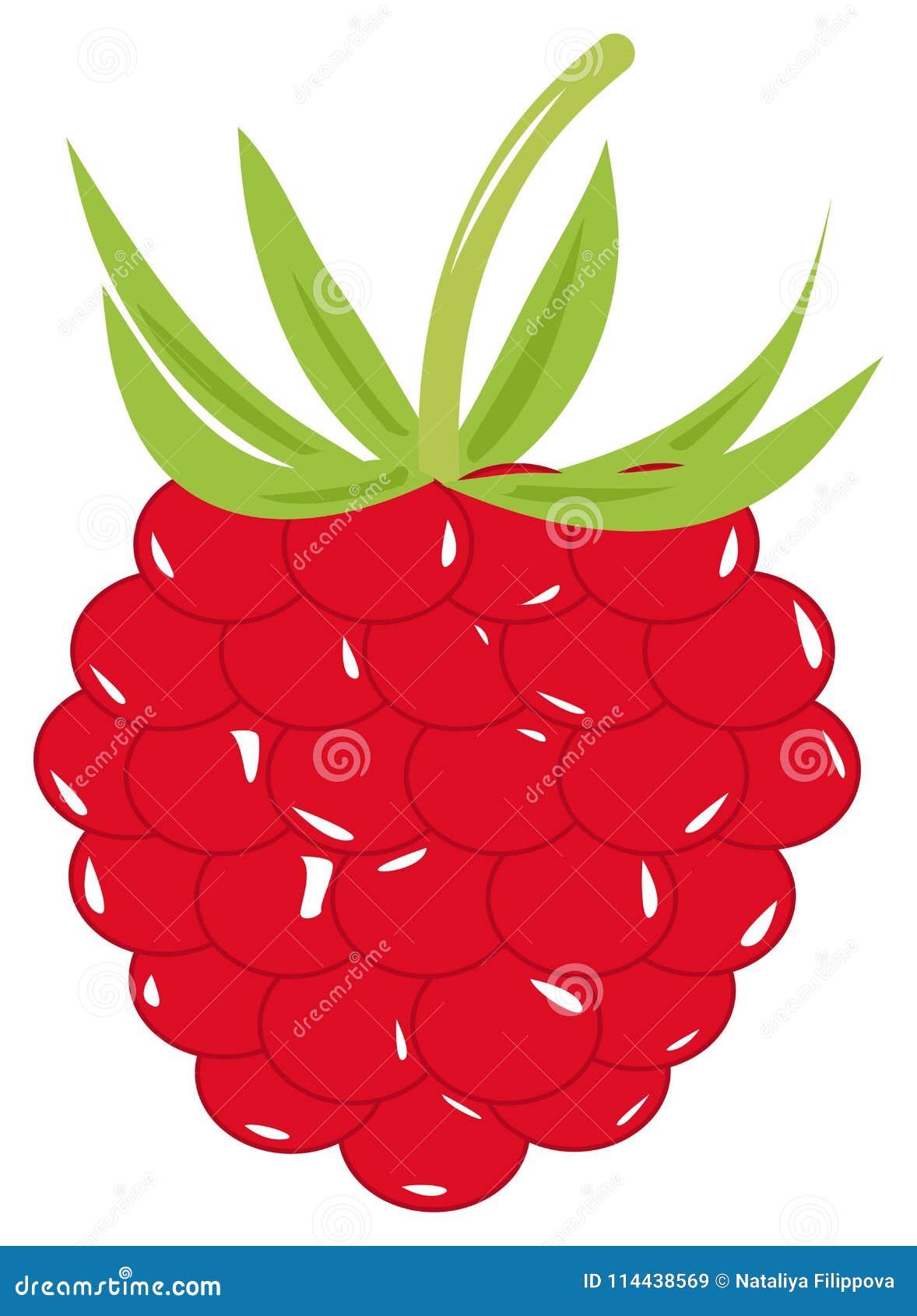 Ripe red raspberry stock vector. Illustration of berry - 114438569