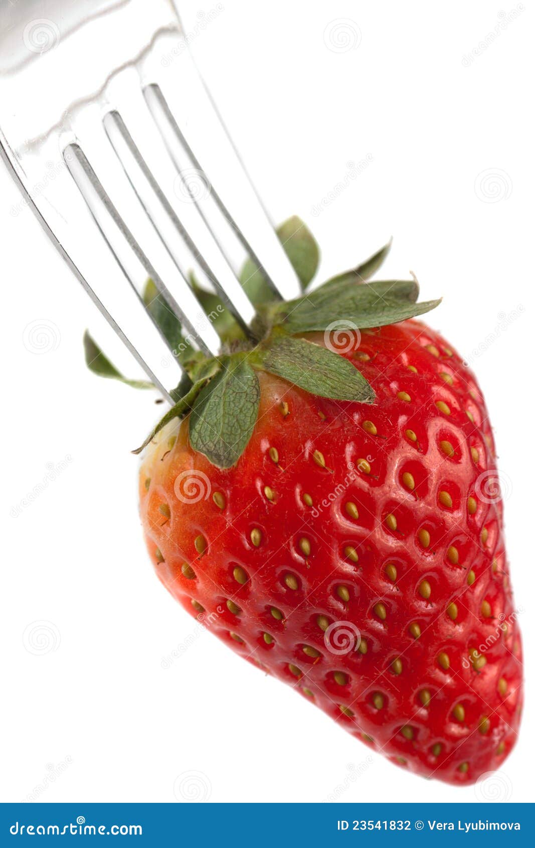 Ripe Red Strawberry on Fork Stock Photo - Image of succulent, snack ...