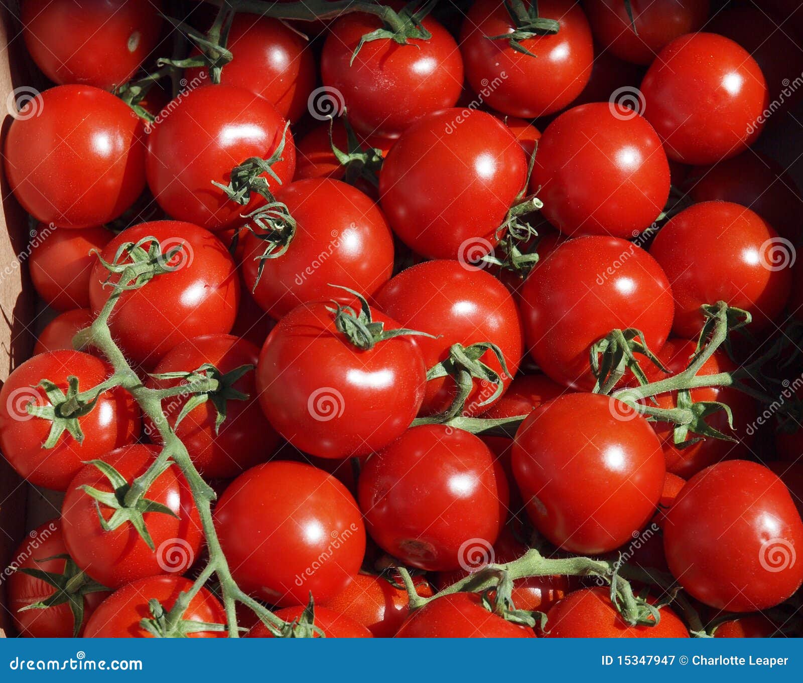 Ripe Red Vine Tomatoes stock image. Image of ingredients - 15347947