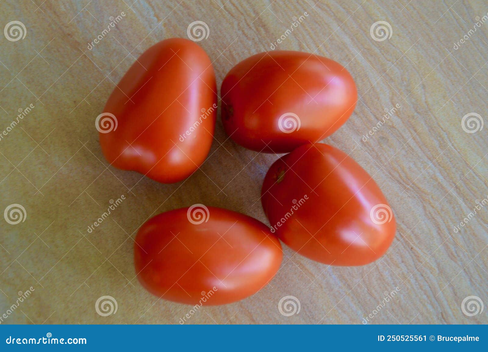 Ripe Roma Tomatoes Against a Simple Background Stock Image - Image of ...