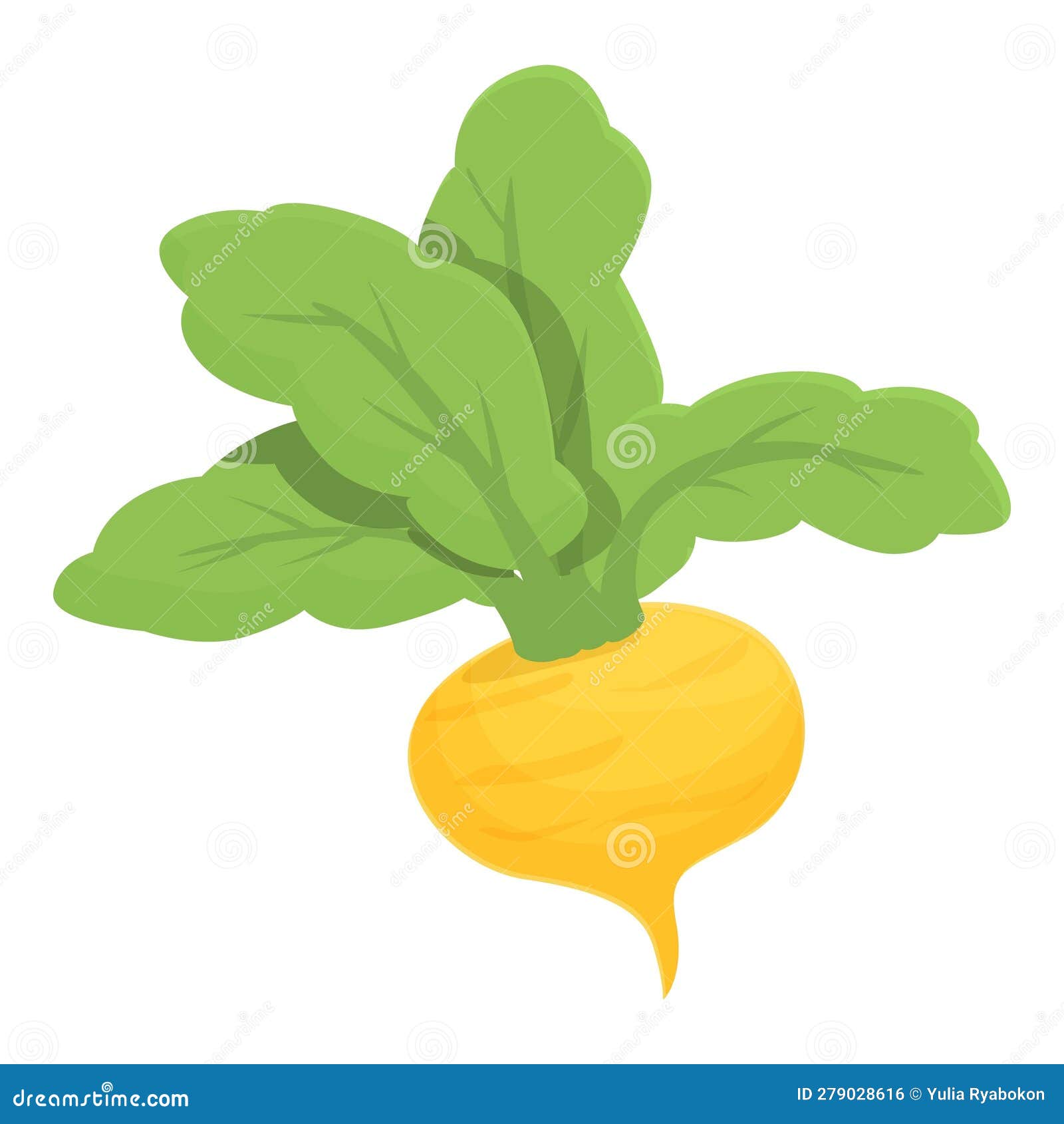 Ripe Root Icon Cartoon Vector. Turnip Vegetable Stock Vector ...