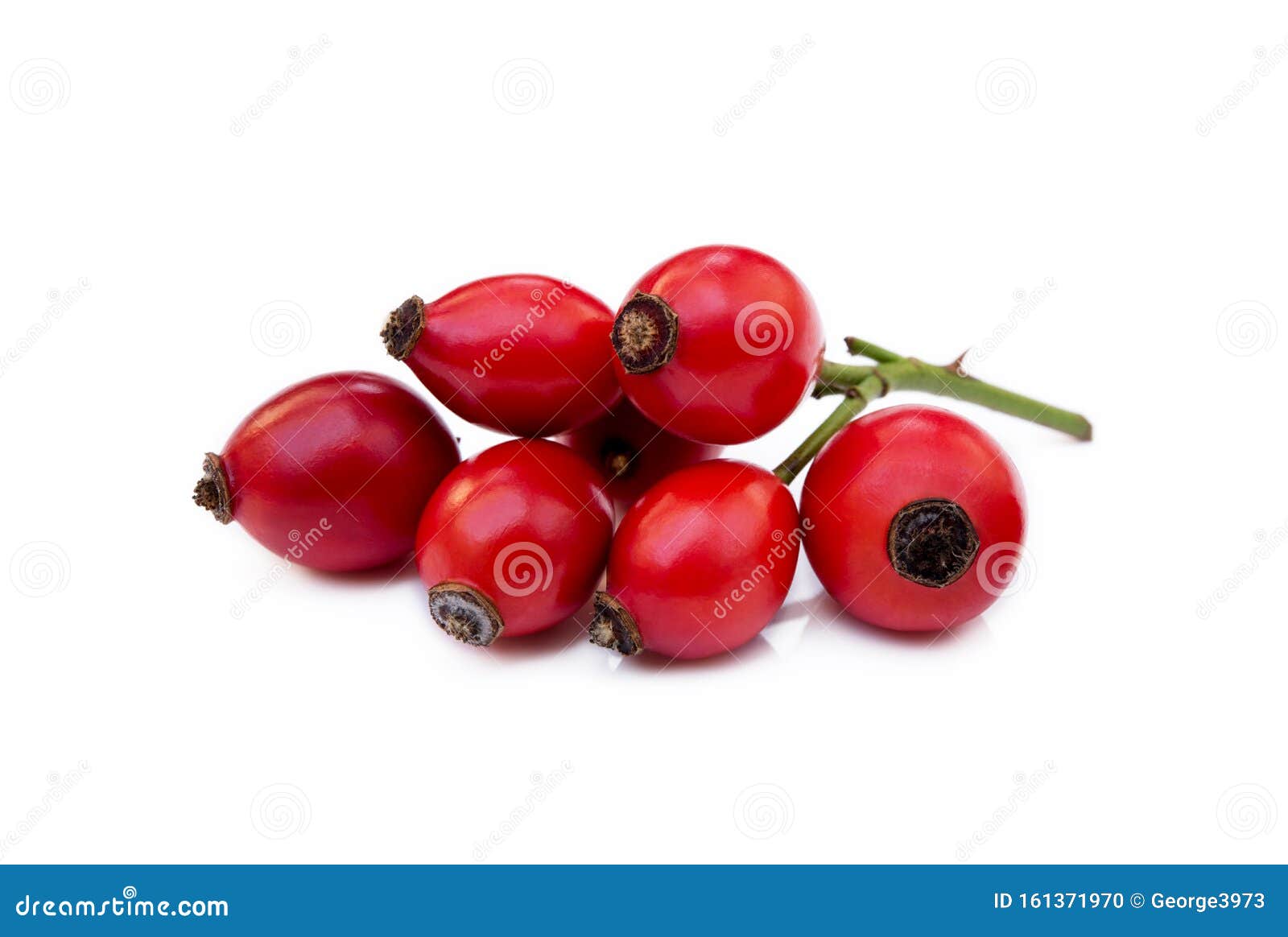Ripe rose hip stock photo. Image of closeup, leaf, drink - 161371970