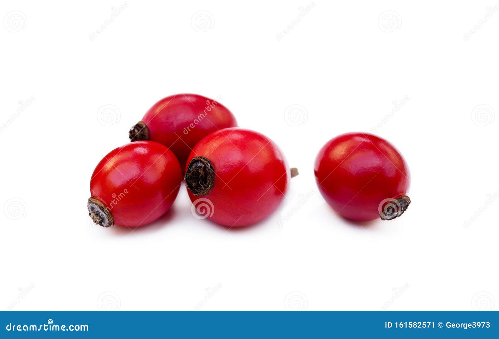 Ripe rose hip stock image. Image of flower, food, closeup - 161582571