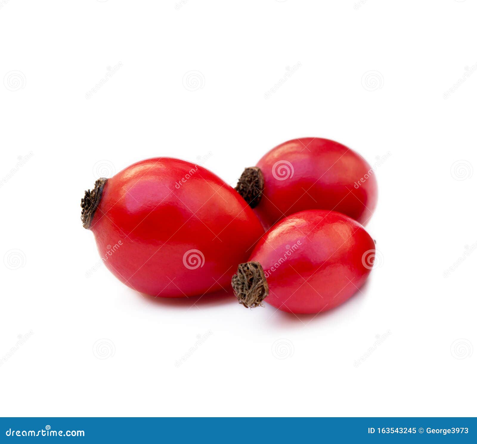 Ripe rose hip stock image. Image of berry, hips, closeup - 163543245
