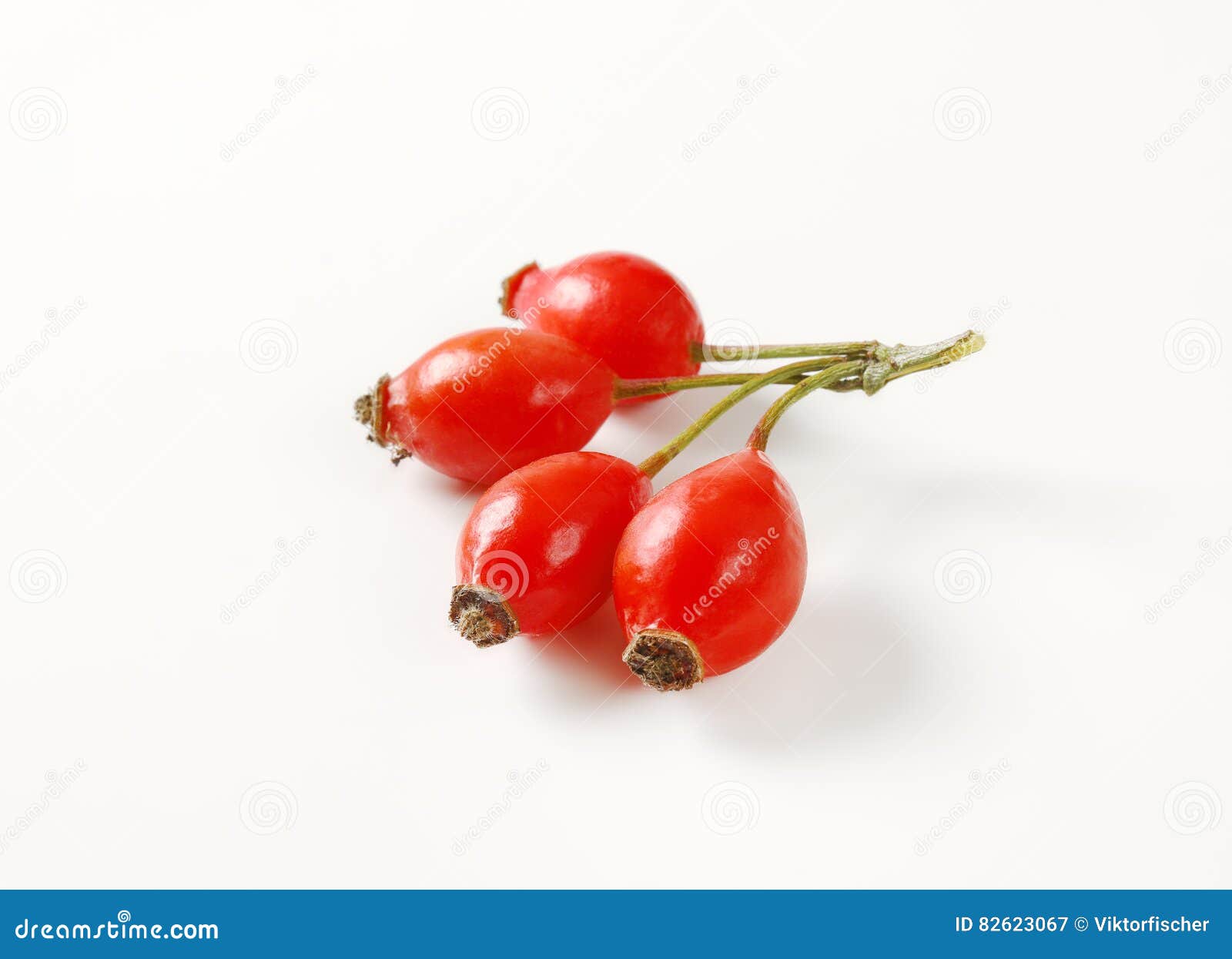 Ripe rose hips stock image. Image of background, shot - 82623067